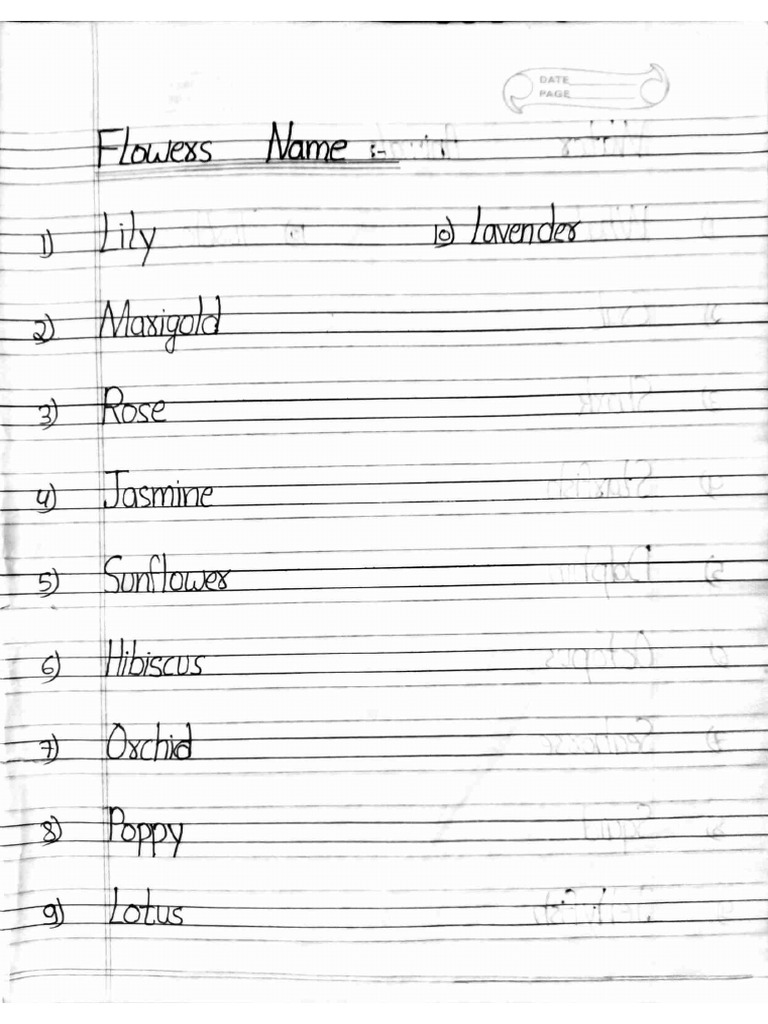 CLASS - 2 EVS Basic & Chapter - 1 Complete | PDF