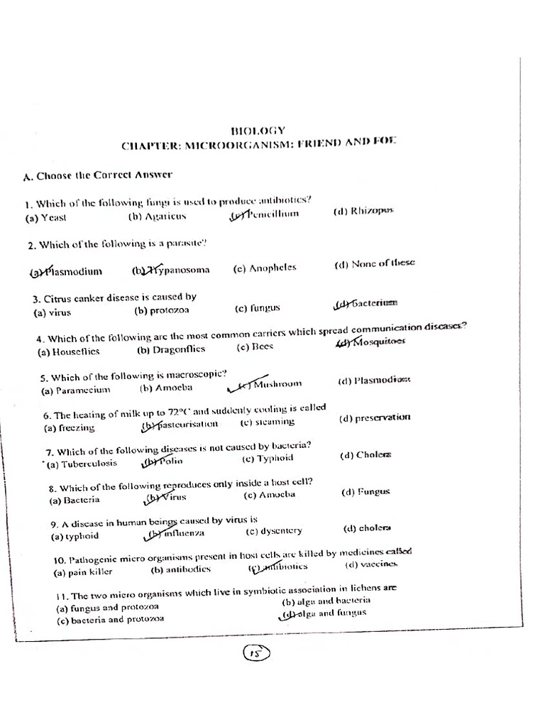 Biology MICROORGANISMS Answer Key | PDF