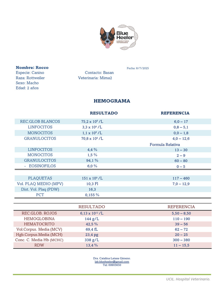 Hemograma Canino Rocco | PDF