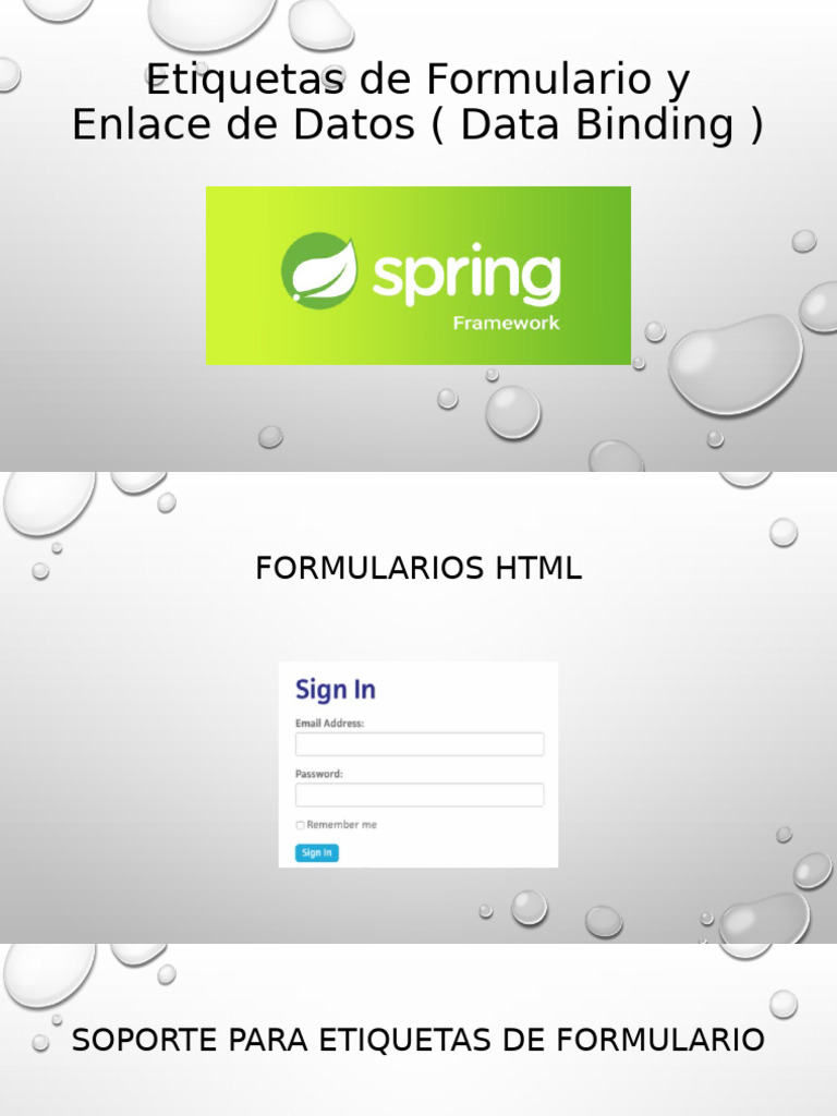 03 - Etiquetas de Formulario y Data Binding - Overview | PDF