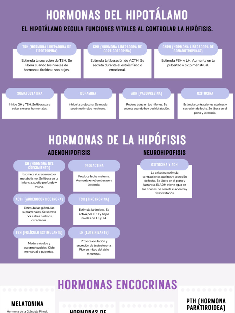 Hormonas del Hipotálamo y Glándulas | PDF | Hormona estimulante de la ...