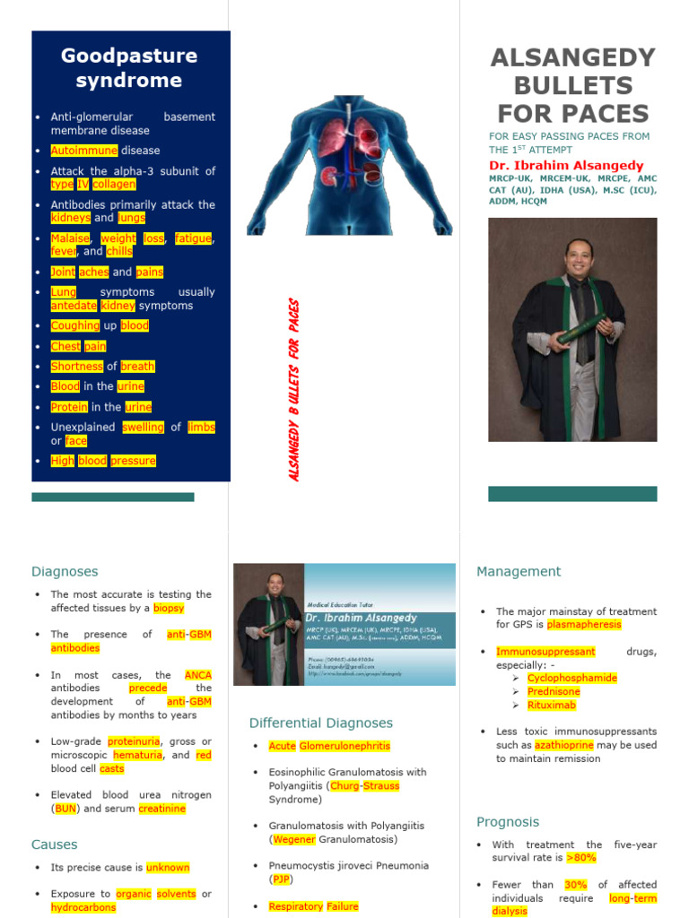 Alsangedy Bullets For Paces Goodpasture Syndrome | PDF | Medicine ...