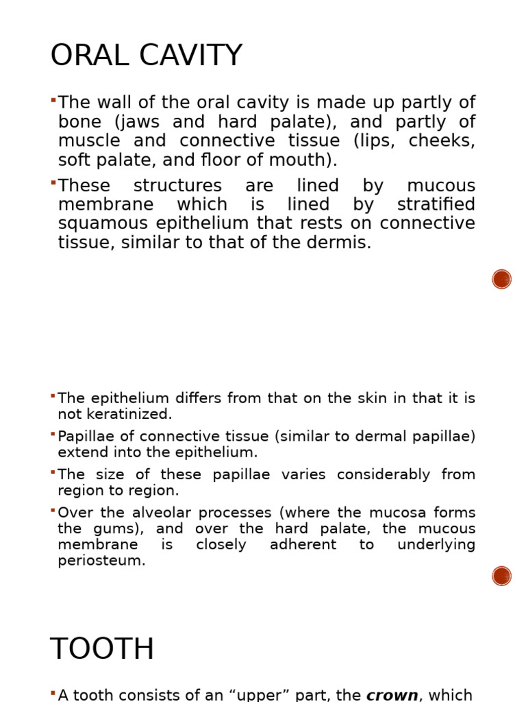 Histological Features of the Tongue | PDF | Tongue | Human Anatomy