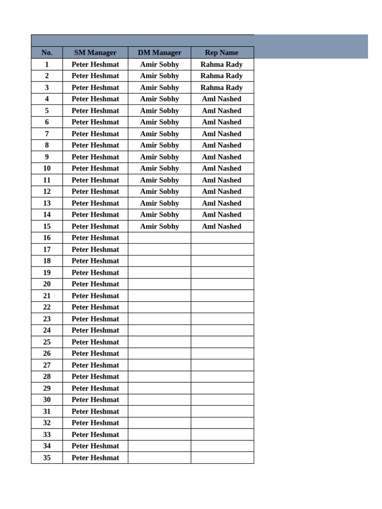 Activity Plan - DM-Month - 1 Aml Proposal | PDF
