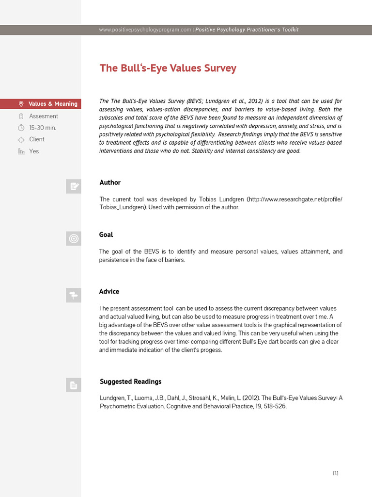 Bull's-Eye Values Survey Overview | PDF | Positive Psychology ...