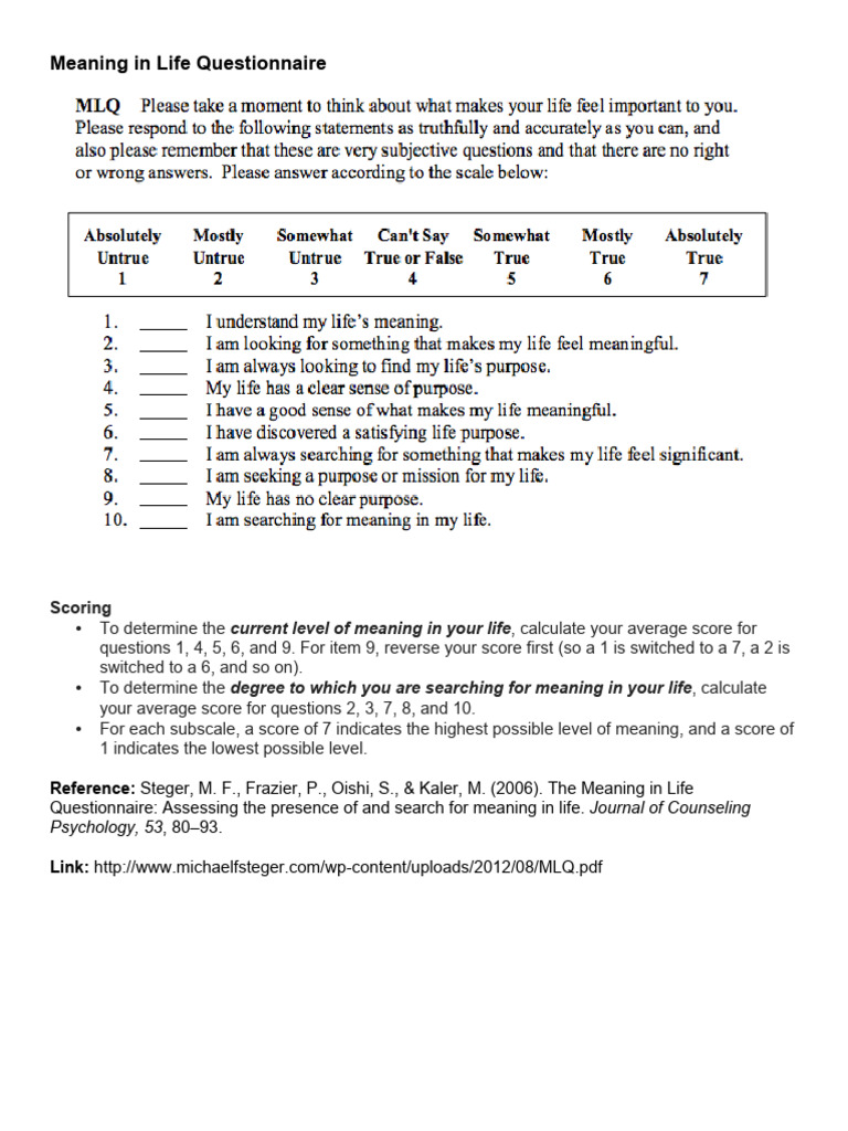 Meaning in Life Questionnaire Scoring Guide | PDF