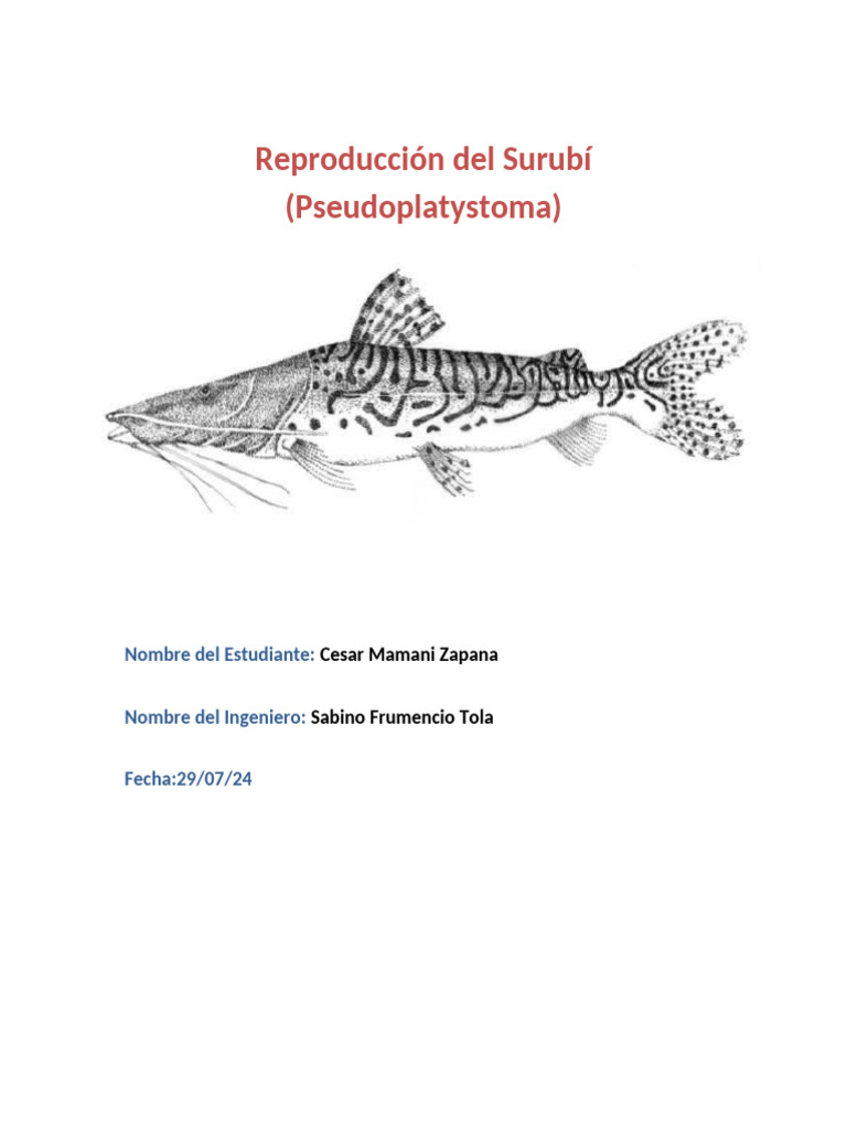 CSR Texto de Surubi | PDF | Reproducción | Acuicultura