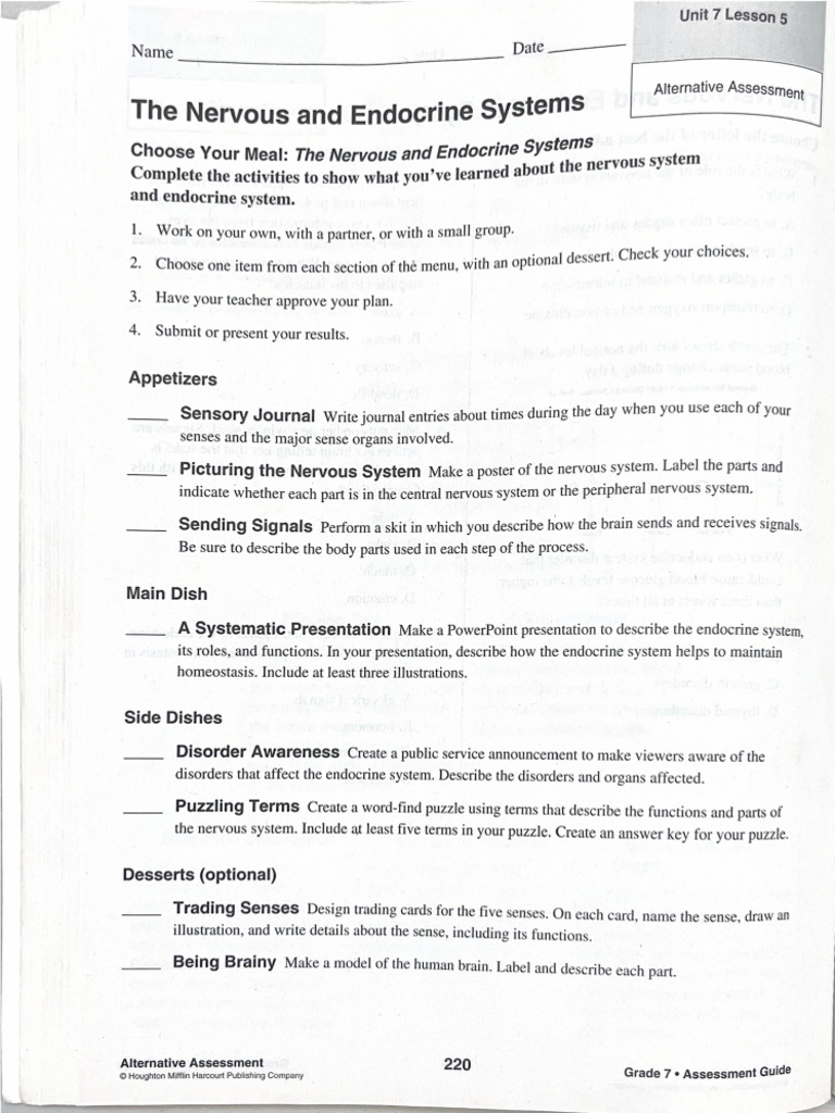 The Nervous and Endocrine Systems | PDF