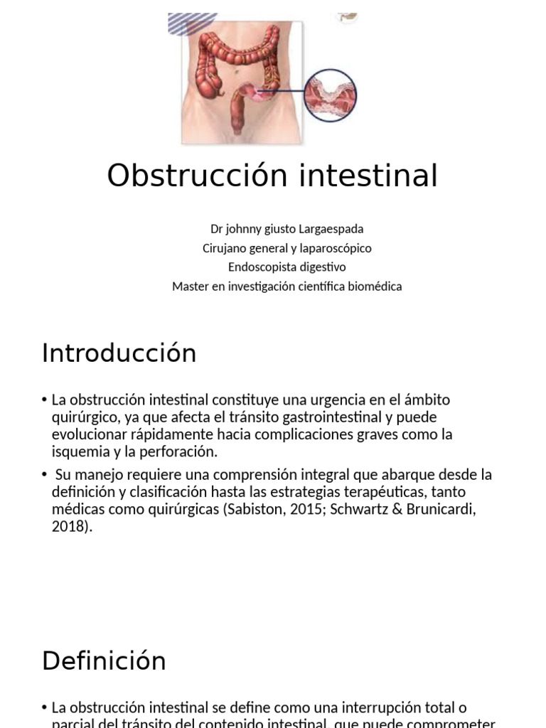 Definición de Obstrucción Intestinal | PDF | Isquemia | Imagenes medicas