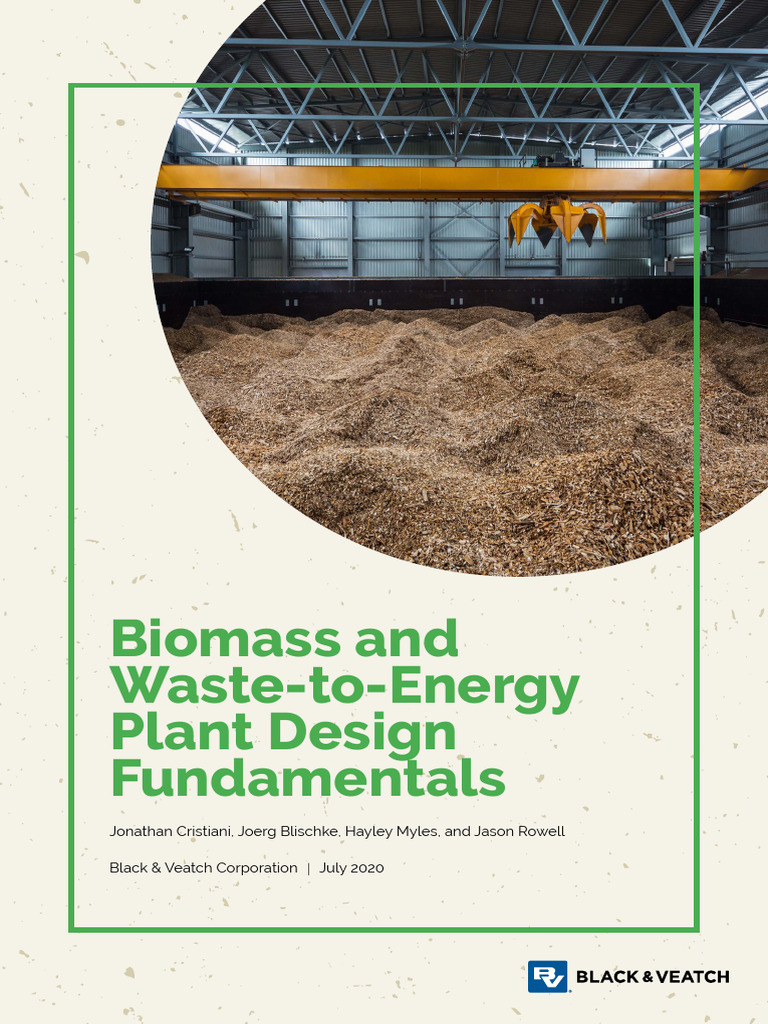 Biomass Waste To Energy DSG Fundamentals | PDF | Waste | Fuels