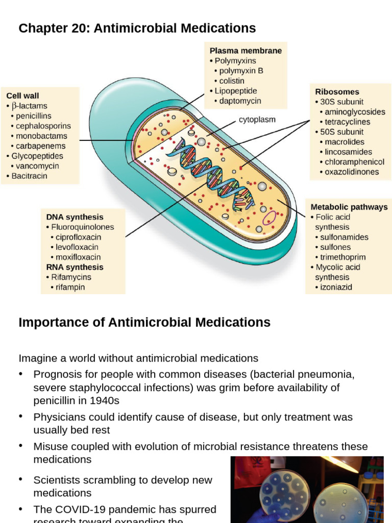 Antimicrobial Medications Overview | PDF | Antimicrobial Resistance ...