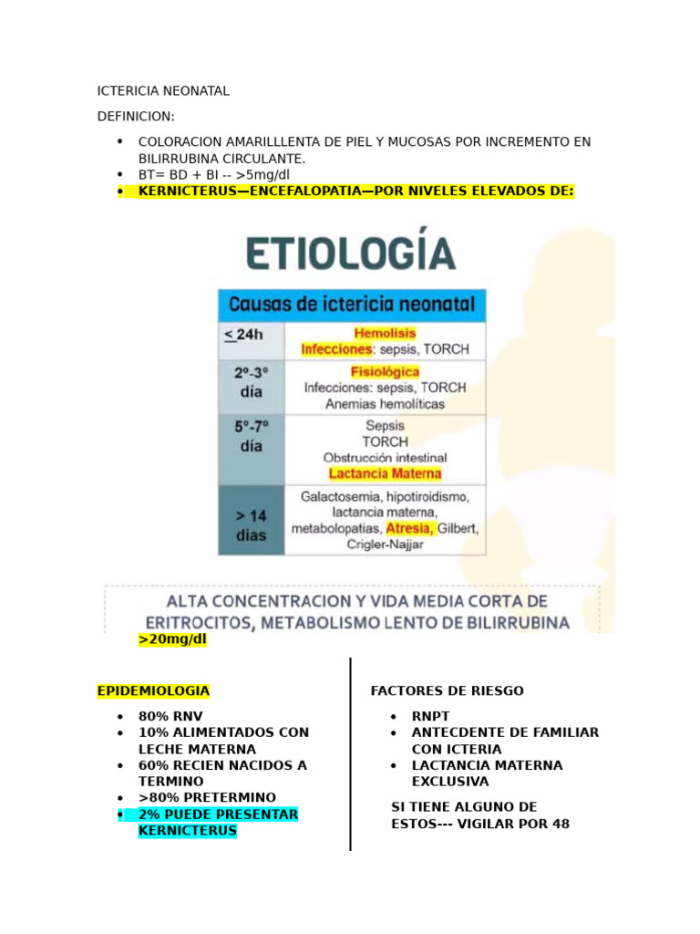 Ictericia Neonatal | PDF