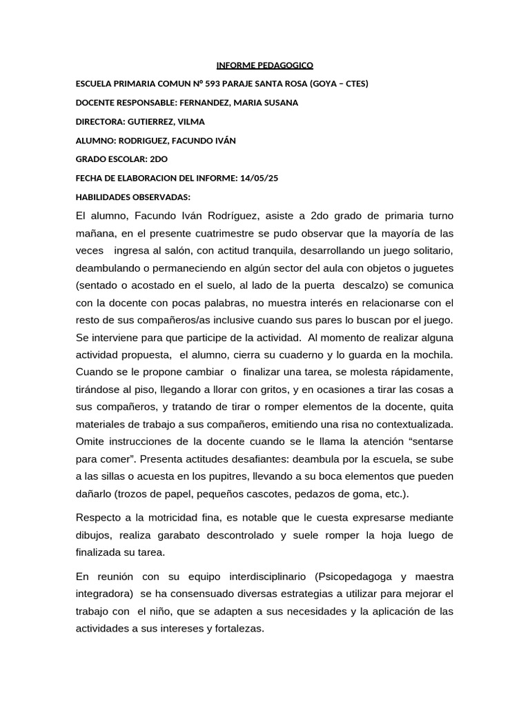 Informe Pedagogico Facundo | PDF
