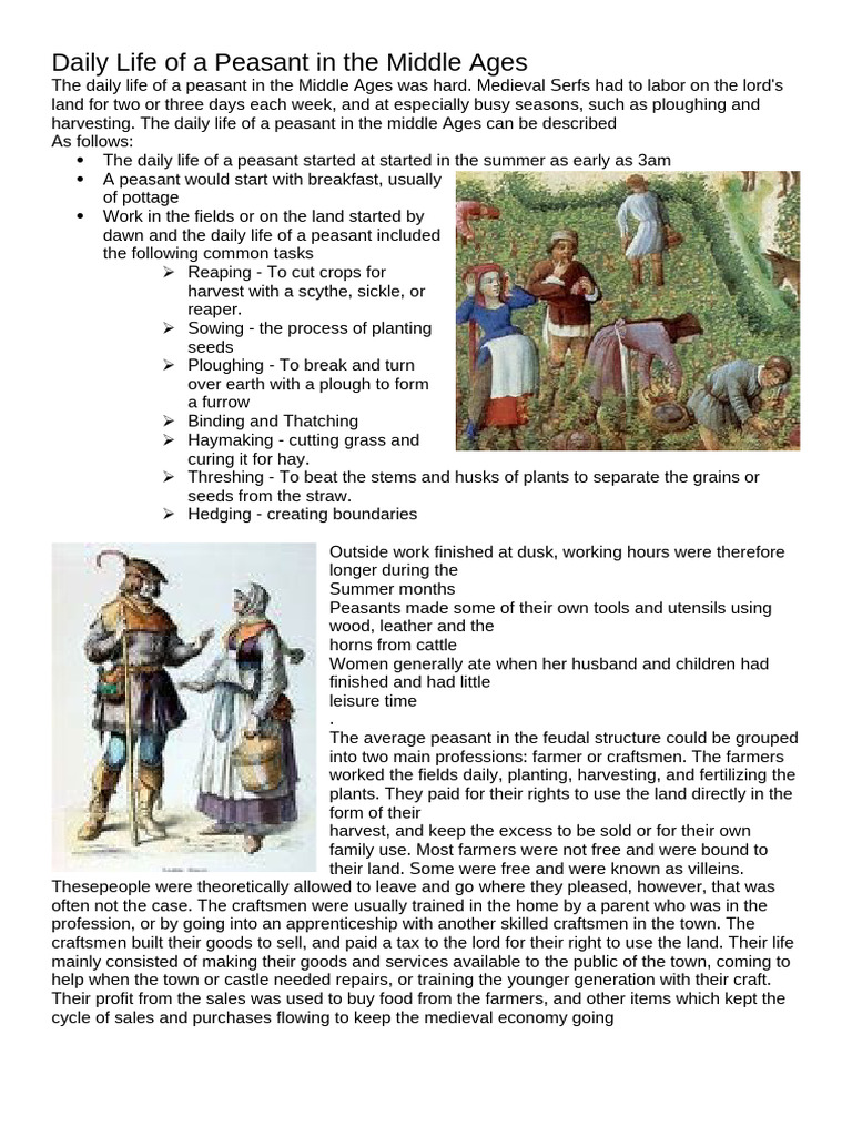 Daily Life of A Peasant in The Middle Ages | PDF | Knight | Feudalism