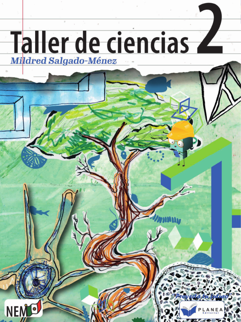 Taller de Ciencias 2: Energía y Aprendizaje | PDF | Experimentar ...