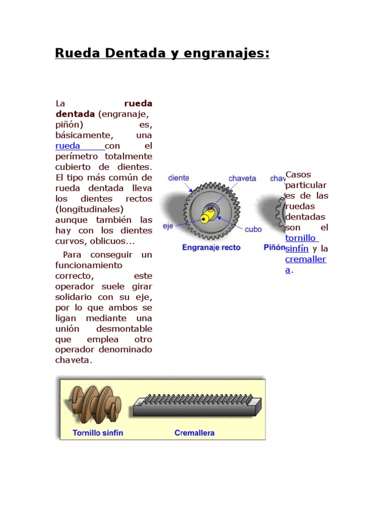 Rueda Dentada y Engranajes: Funciones y Usos | PDF