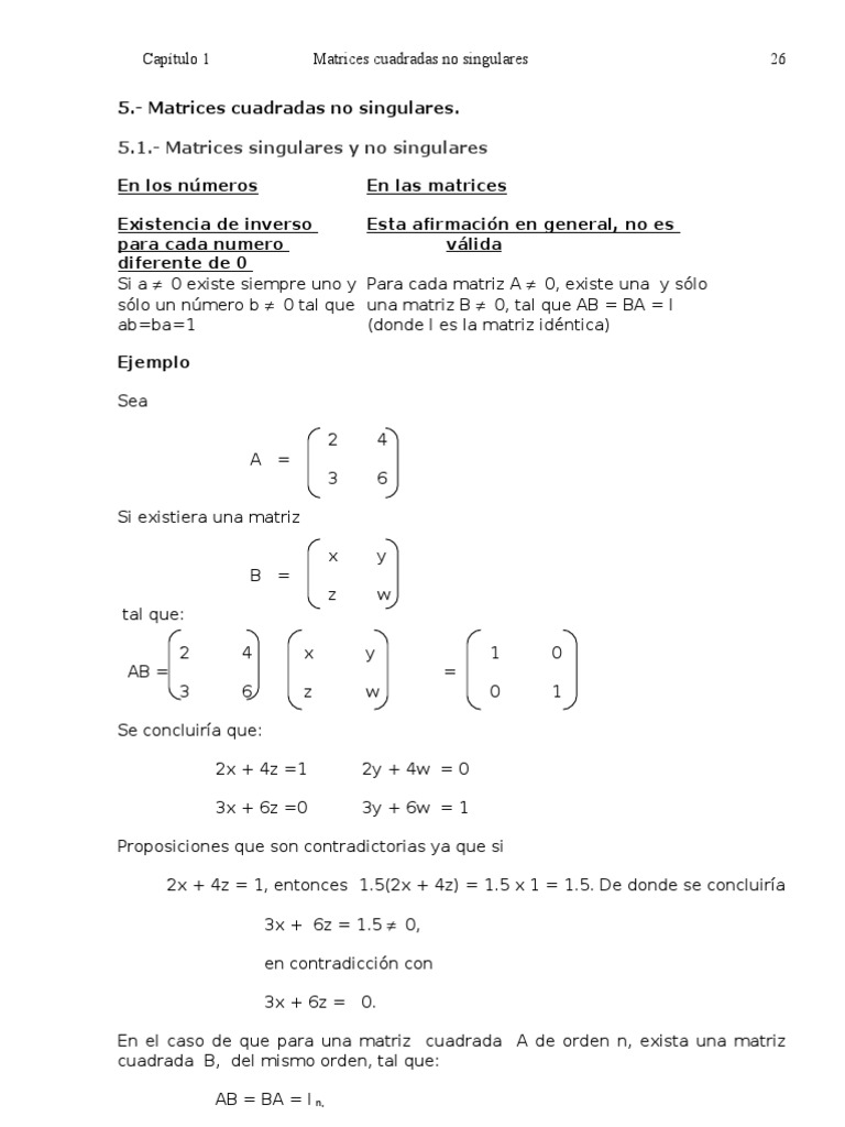 5.1.-Matrices singulares y no singulares | Matriz (Matemáticas ...