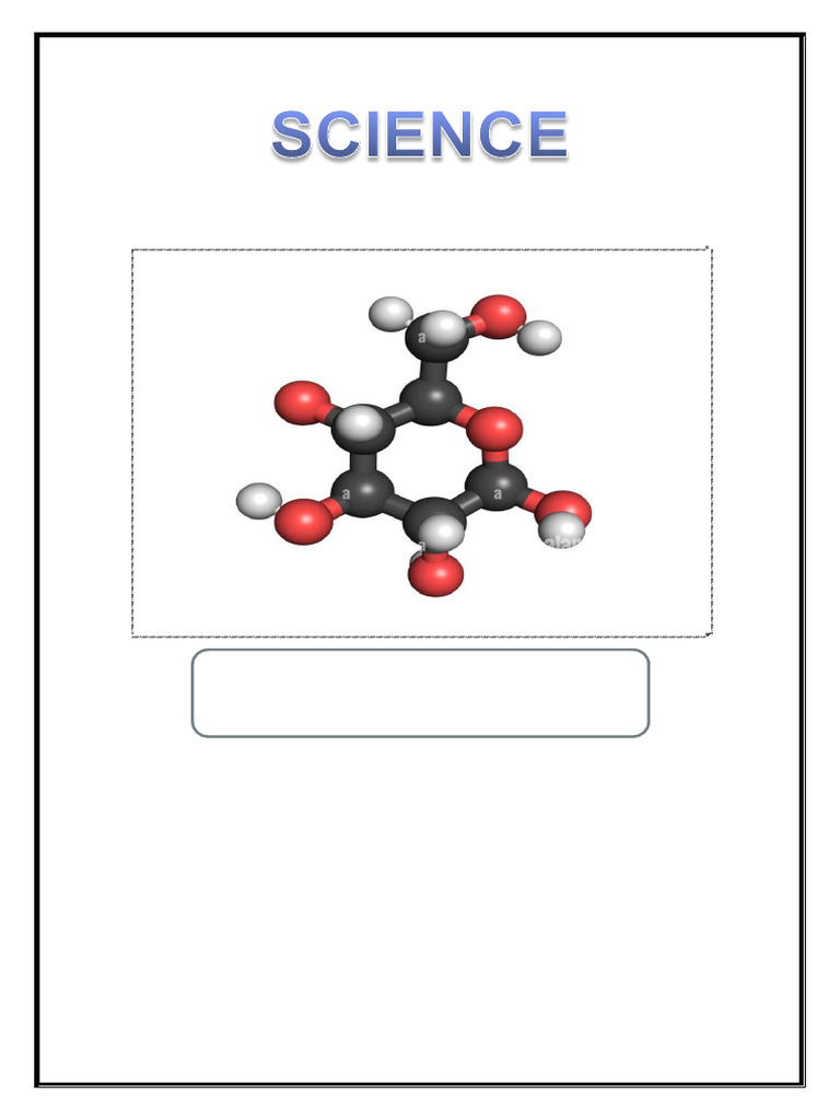 2025 Science SSLC Fa Activities Book New | PDF | Ph | Acid