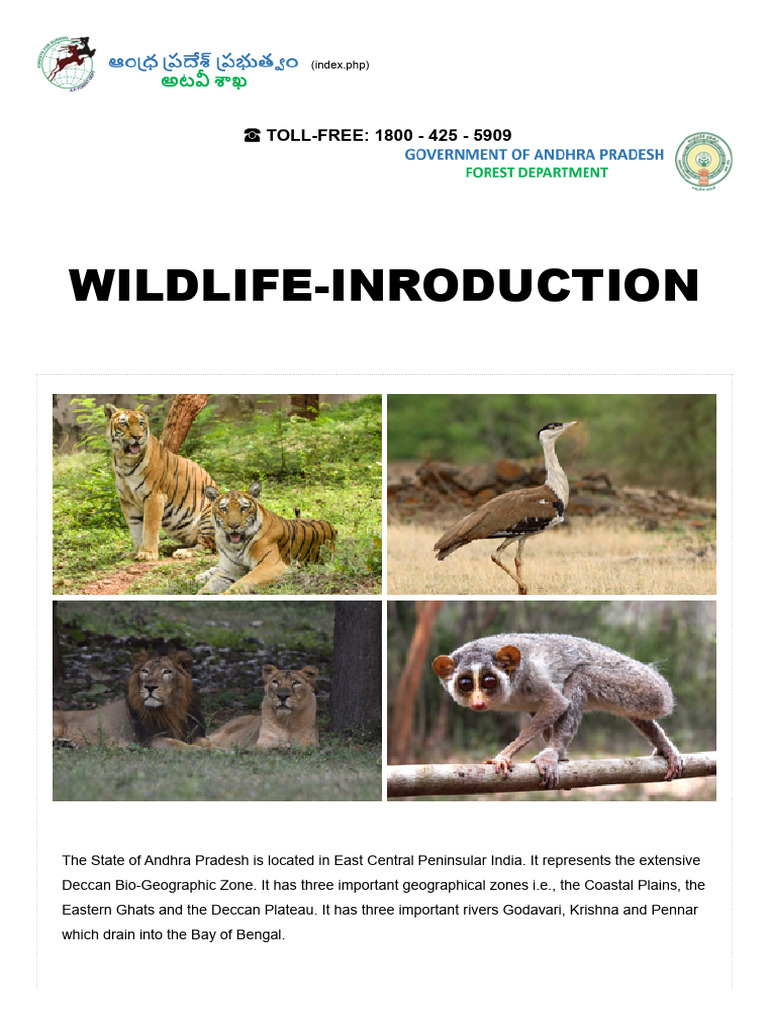 Andhra Pradesh Wildlife and Forests Overview | PDF