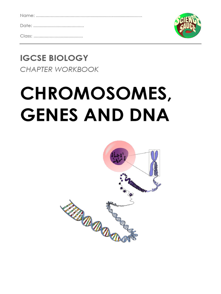 IGCSE Biology: Chromosomes and DNA Workbook | PDF | Gene | Dna