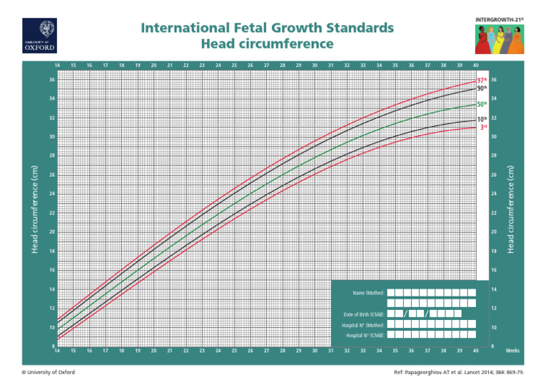 Fetal Growth Standards Head Circumference Chart | PDF