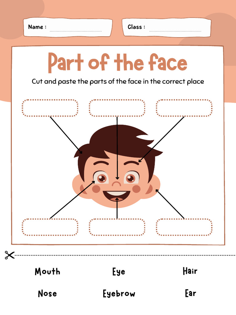 Match The Parts of Face Name Worksheet in Brown Illustrative Style ...