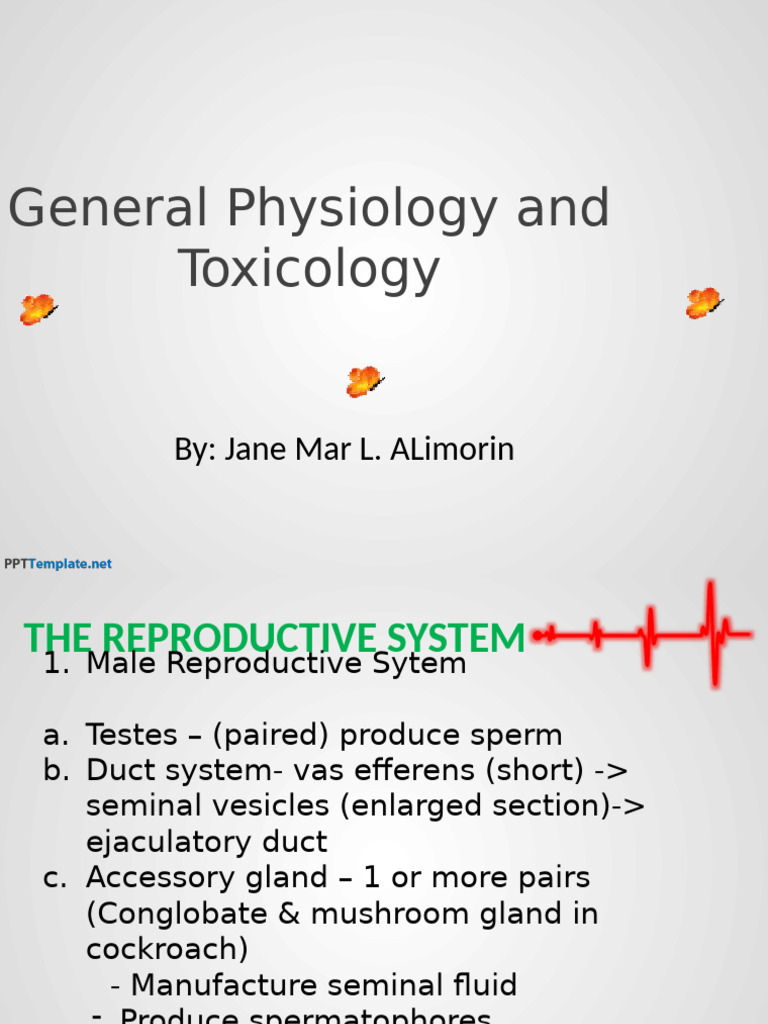 Insect Reproductive System Overview | PDF