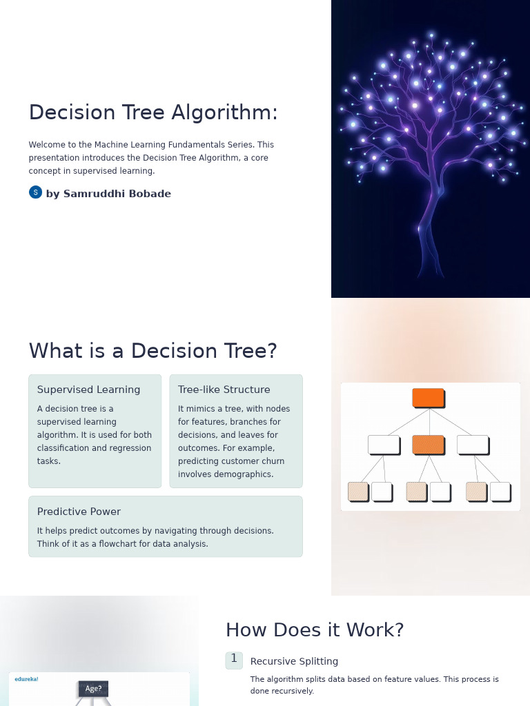 Decision Tree Algorithm | PDF | Applied Mathematics | Machine Learning