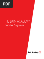 Bain Values | PDF