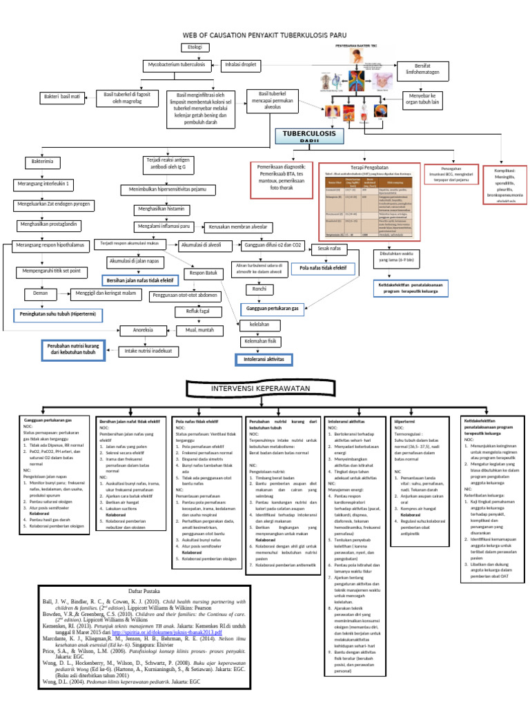 Web of Causation Tuberkulosis Paru | PDF