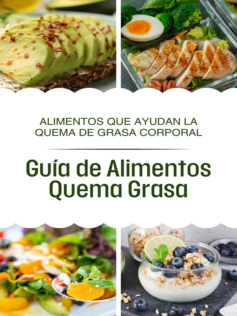 Alimentos Efectivos Para Quemar Grasa Pdf Alimentos Dieta