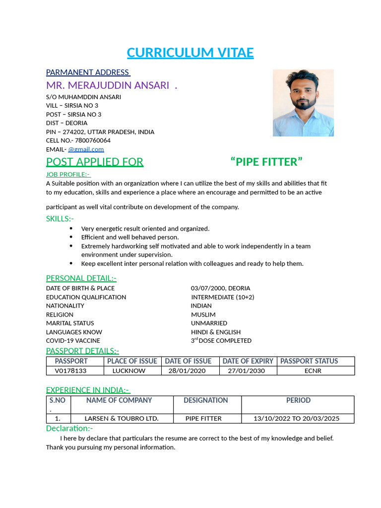 Curriculum Vitae Merajuddin Ansari | PDF
