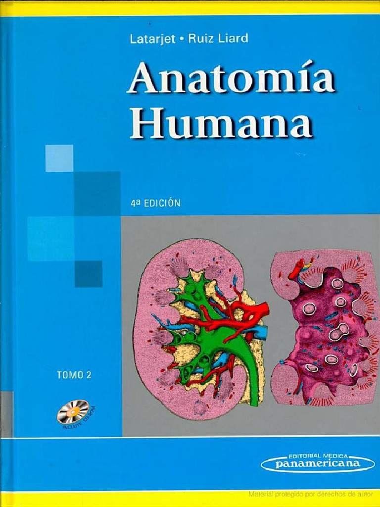 Latarjet. Anatomía Humana. T2 | PDF