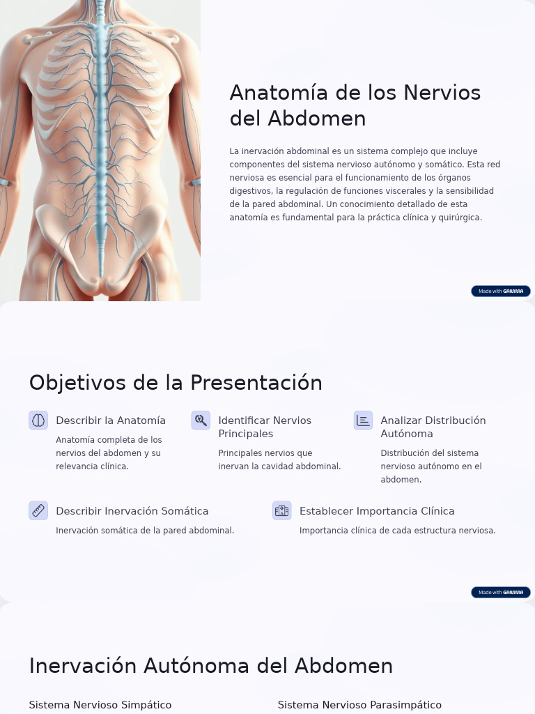 Anatomia de Los Nervios Del Abdomen | PDF | Abdomen | Nervio vago
