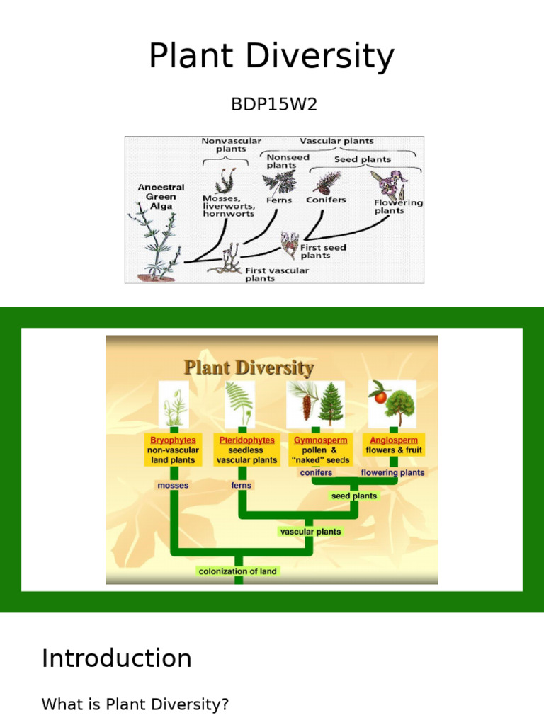 Understanding Plant Diversity and Its Importance | PDF | Archaea ...