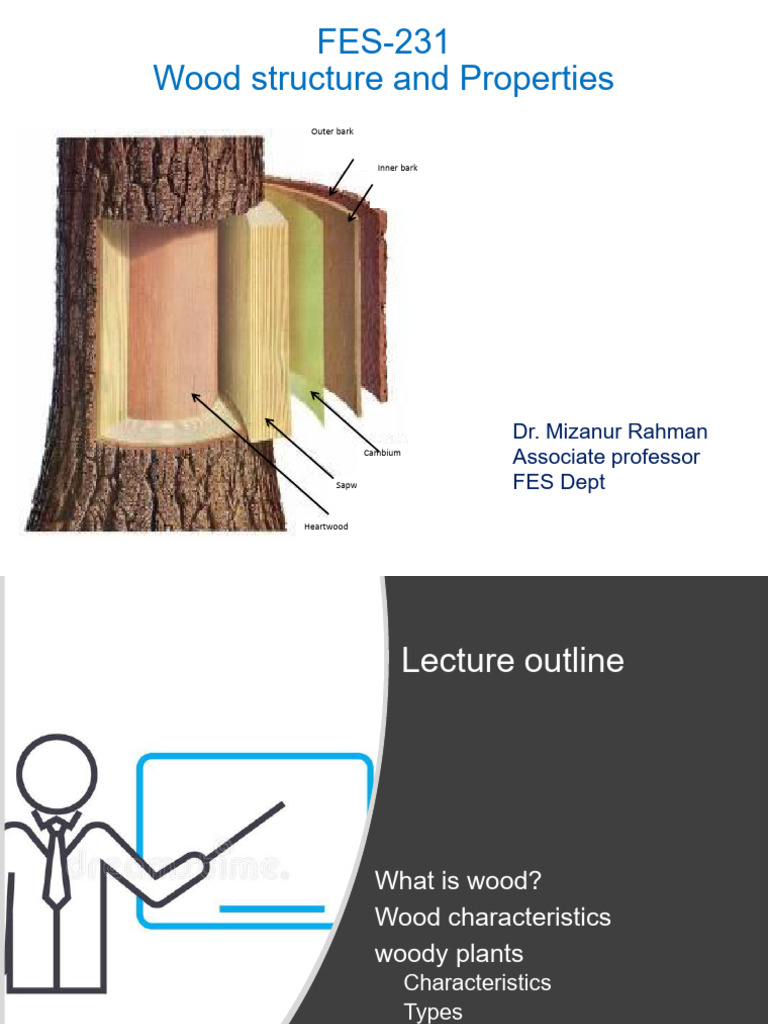Wood Structure and Properties Overview | PDF | Wood