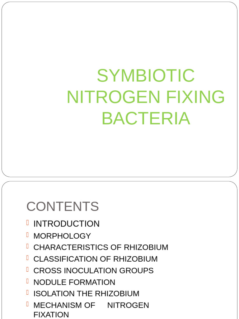 Isolation of Rhizobia From Root Nodules | PDF | Biology