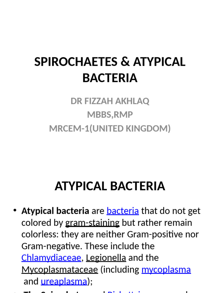 Spirochete | PDF