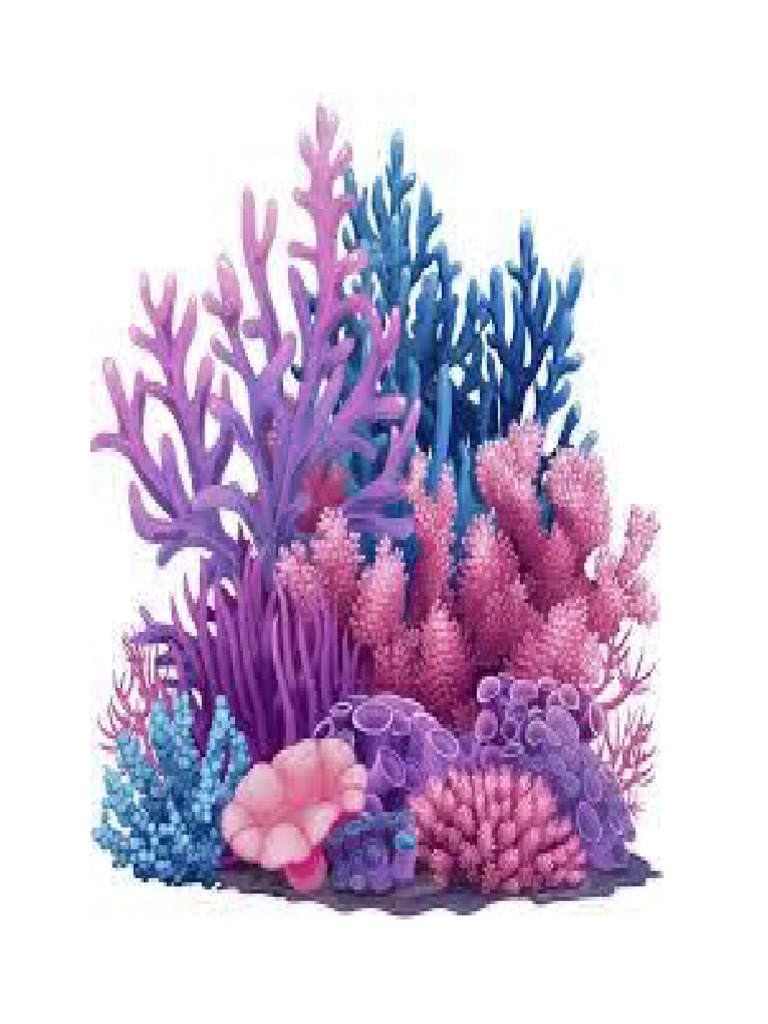 Coral | PDF