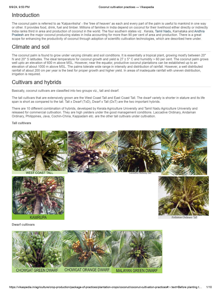 Coconut Cultivation Techniques | PDF | Coconut | Fertilizer