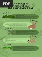 Flora y fauna de Tlaxcala | PDF | Arboles