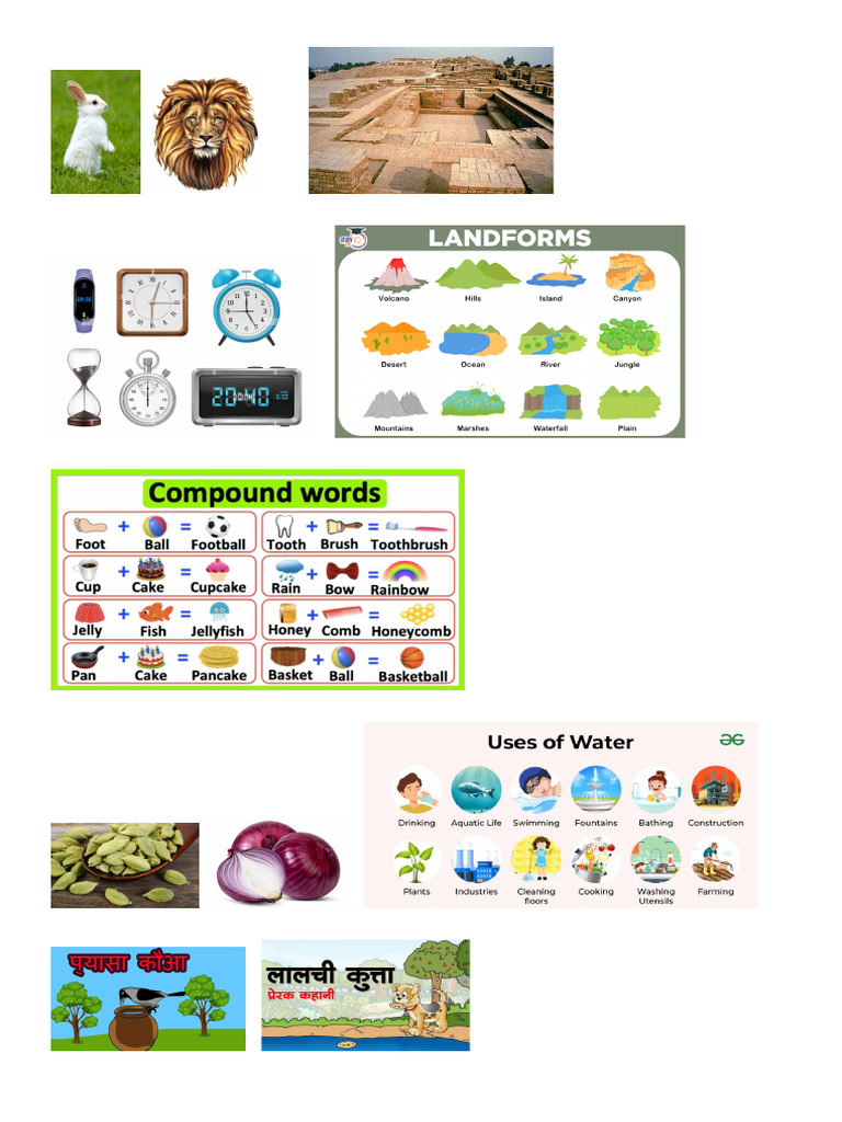 Project Ss | PDF