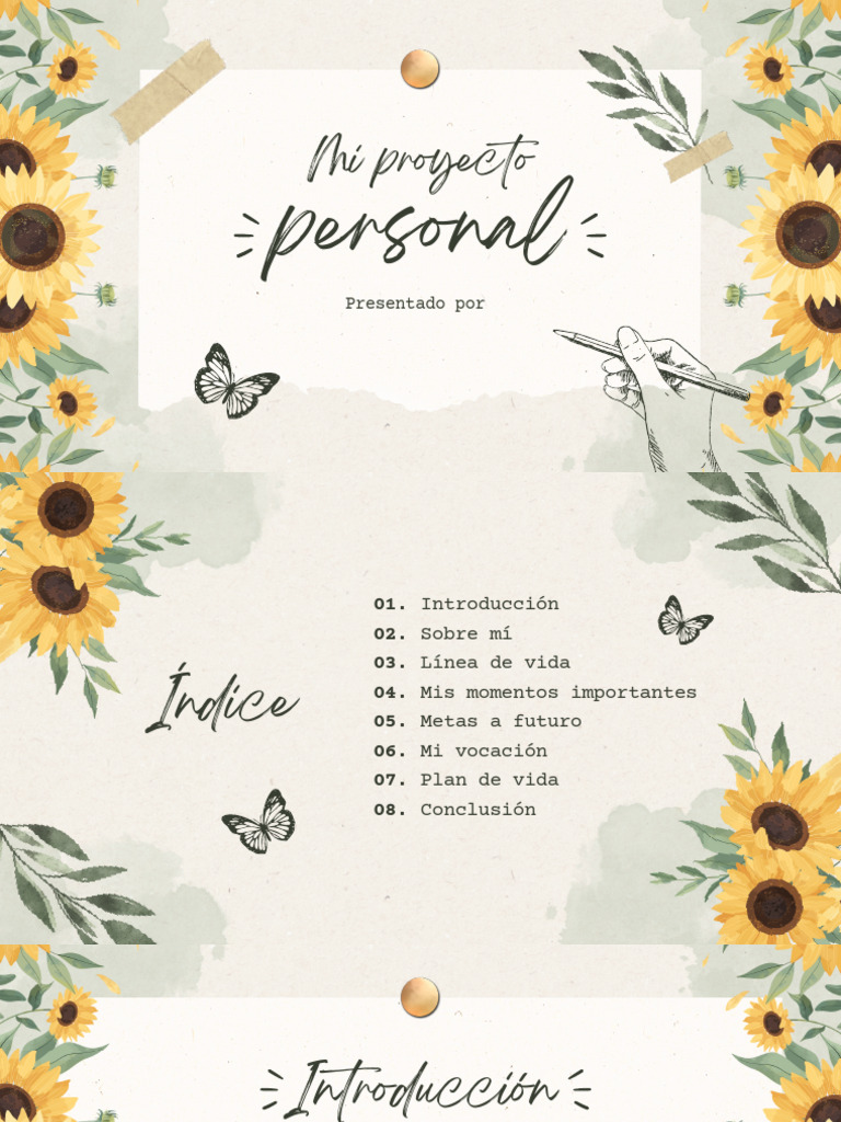 Presentación Proyecto | PDF