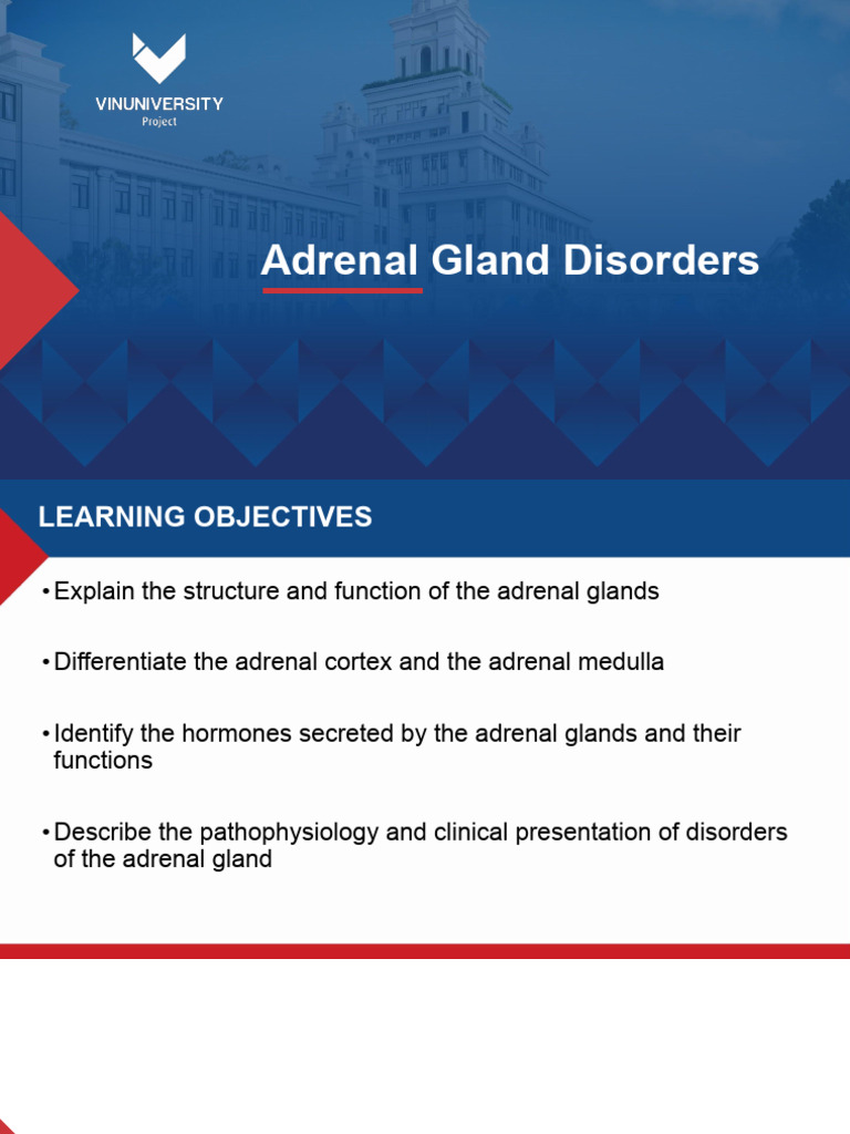 DR Ha - Adrenal Disorders 3.2025.Pptx-2 | PDF | Adrenal Gland | Cortisol