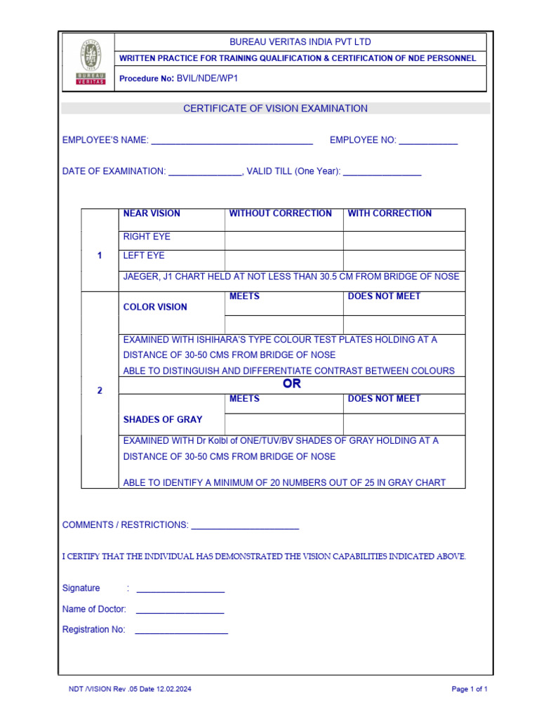 Updated Vision Check Report Format | PDF