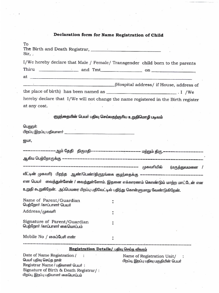 Birth Register | PDF
