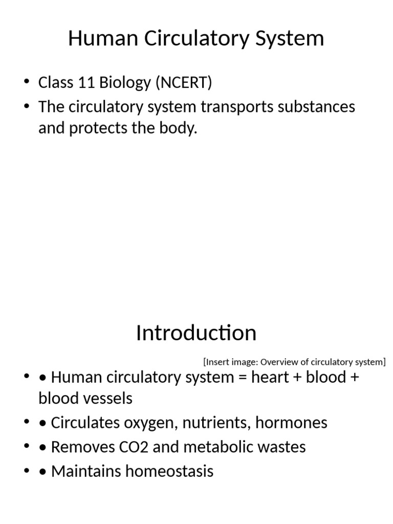Human Circulatory System Detailed With Placeholders-1 | PDF | Heart | Circulatory System