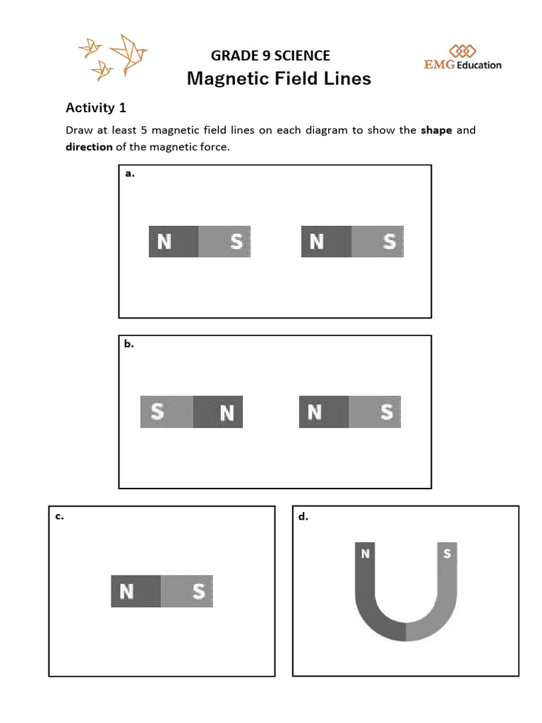 Magnetic Field Lines WS | PDF