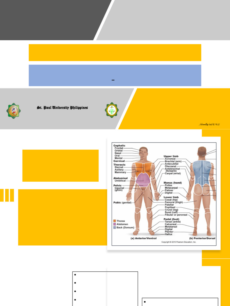 Anatomical Language and Positioning Guide | PDF | Anatomical Terms Of ...