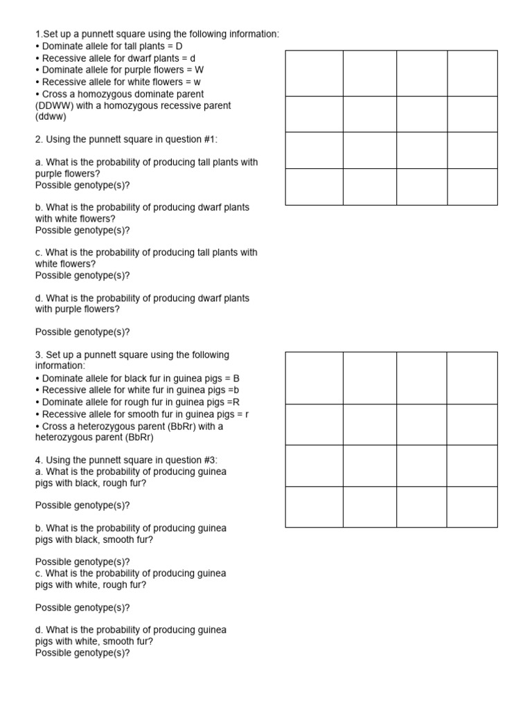 Chapter 10 Dihybrid Cross Worksheet Form | PDF